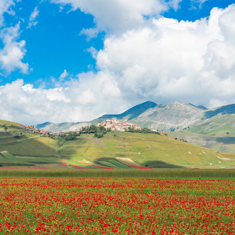 Perché Puntare sul Turismo Iperlocale?